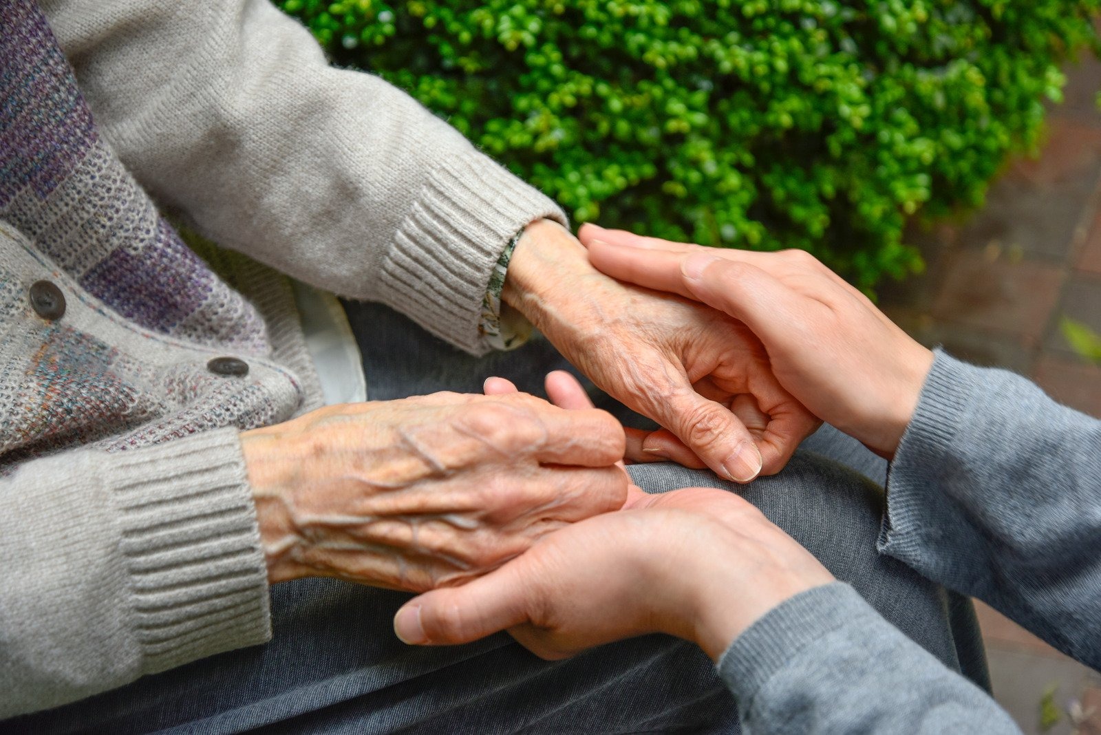 Empowering Families, Coordinating Care: Navigating Dementia and Aging ...